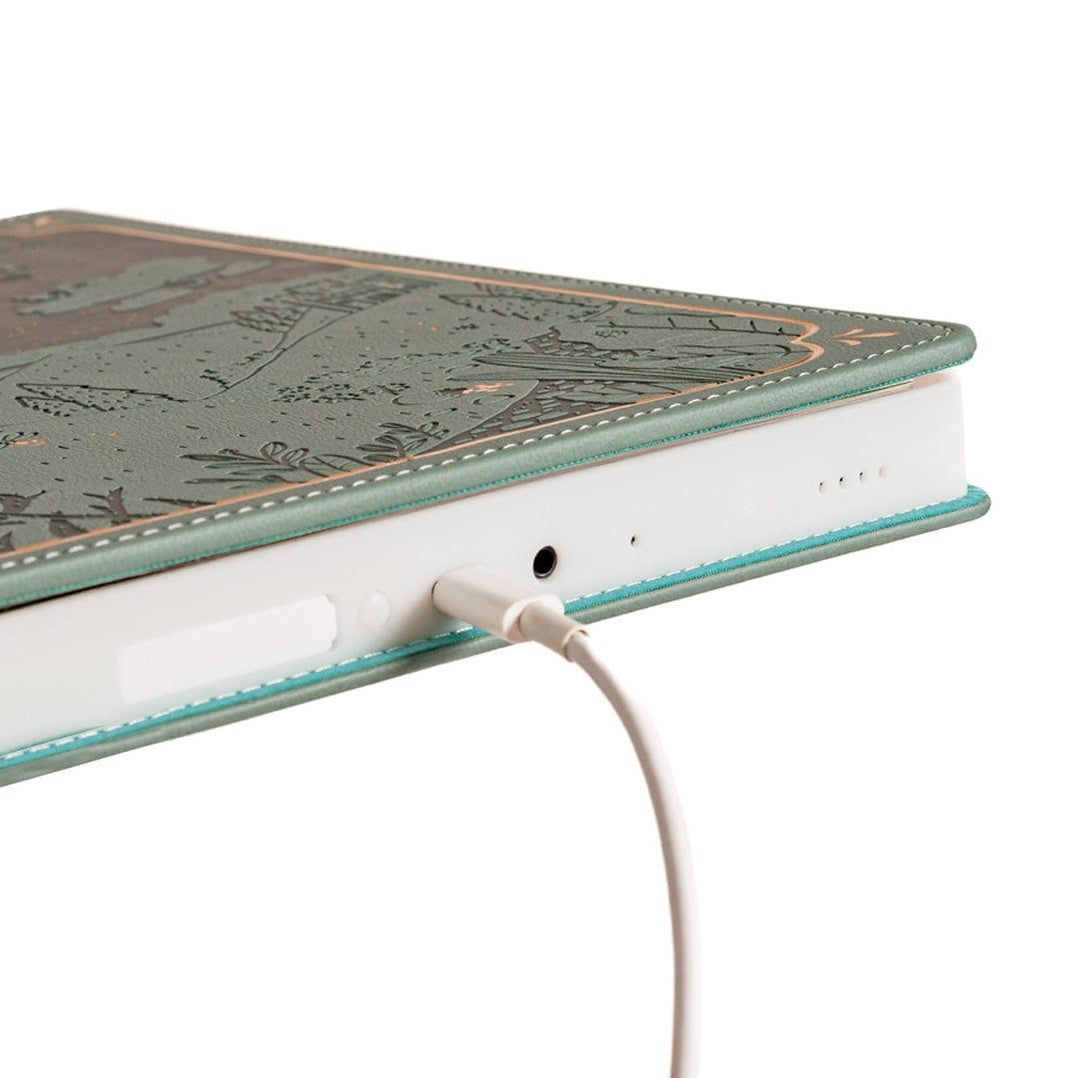 Sound Book Bundles - Cali's Books