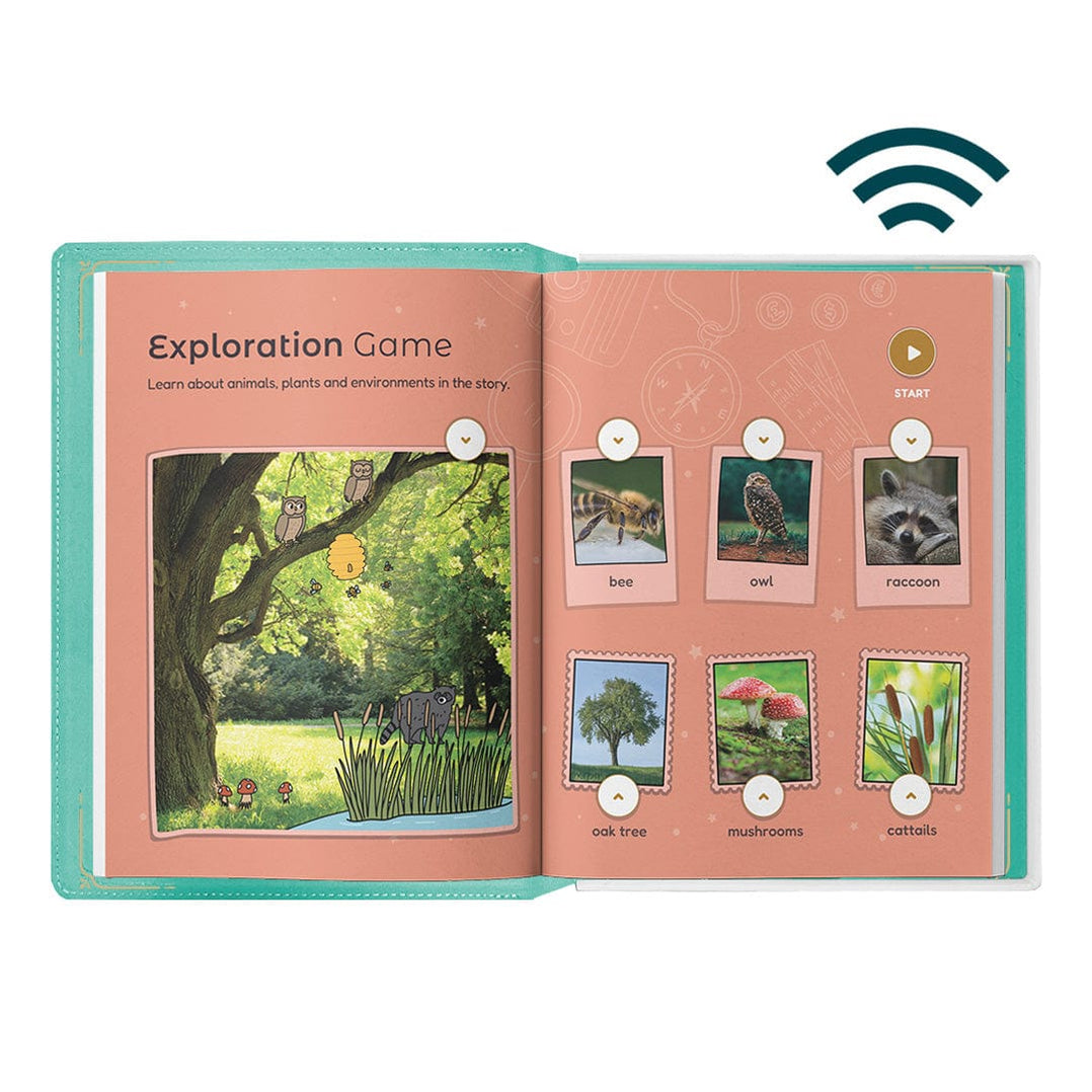 Sound Book Bundles - Cali's Books